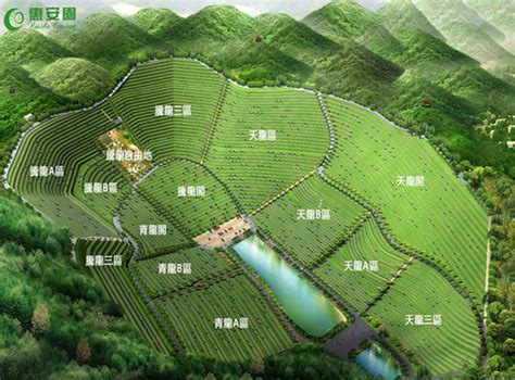 惠安墓园图片 墓团网