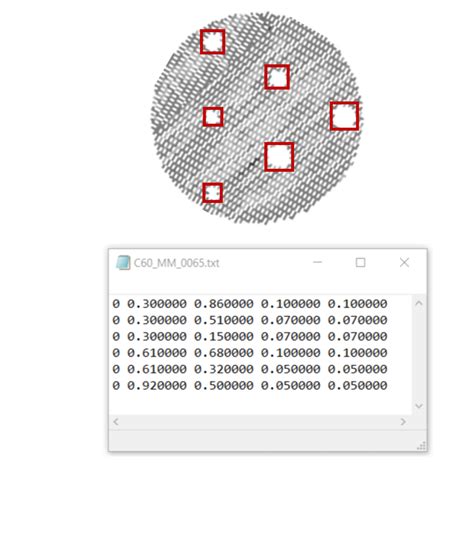 Input Data And Output Data Of The Labeling Workflow Download Scientific Diagram