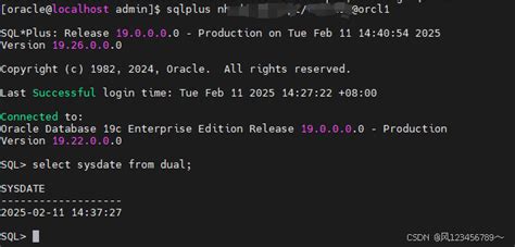 【linux Andoracle】安装oracle 19c客户端oracle19c客户端安装步骤 Csdn博客