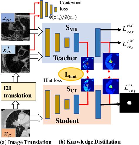 Figure 1 From Unpaired Cross Modality Educed Distillation Cmedl