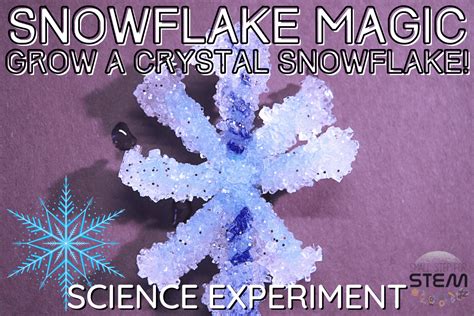 Snowflake Magic A Sweet Science Experiment In Crystal Growth