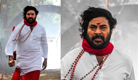 നാഗങ്ങൾക്കൊപ്പം ജീവിക്കുന്ന ദുർമന്ത്രവാദി മെഗാസ്റ്റാർ മമ്മൂട്ടിയുടെ പാൻ ഇന്ത്യ