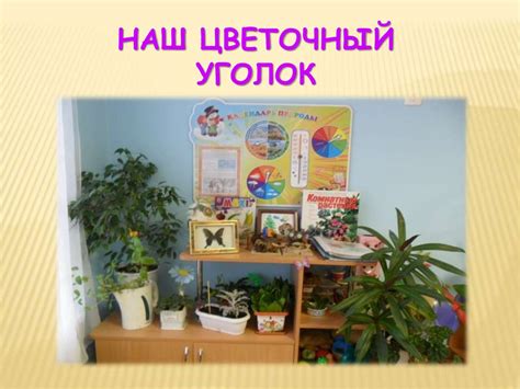 Комнатные растения презентация онлайн