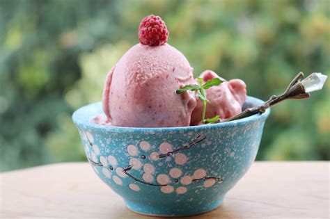 Домашен сладолед без трошка шеќер Daves Kitchen