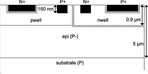 Schematic Cross Section Of Photodetectors In A Bulk Cmos Process Download Scientific Diagram