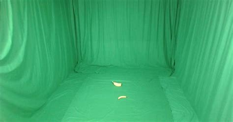 Stream Setup Excited Album On Imgur
