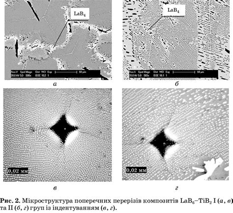 The Microstructure Of Cross Sections Of The Lab 6 Tib 2 Composite Of І