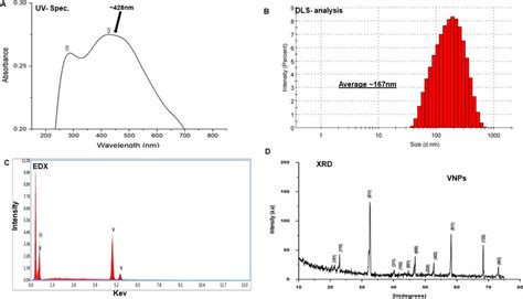 Characterization Of Vnps Uvvis Spectral Analysis Showed A Principal