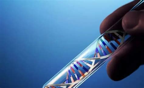 Cfdna란 무엇인가 Cfdna 추출 및 정제 Dna 테스트 전문가