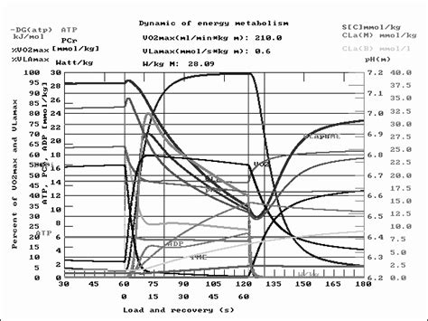 dynamic computer simulation of metabolic parameters during rest