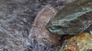 取水口の取り付け まいのうえん