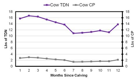 Managing Fall Calving Cows Is Different Than Spring Calving Cows