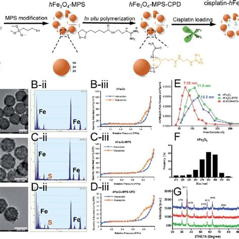 A Schematic Illustration Of Synthesis Modification In Situ Download Scientific Diagram