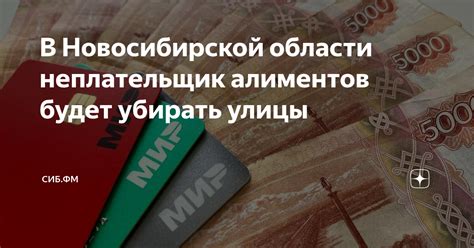 В Новосибирской области неплательщик алиментов будет убирать улицы Главные новости Сиб фм Дзен
