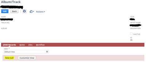 Custom Record Type New Null Button Rnetsuite