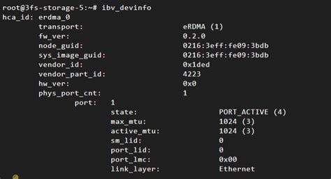 基于ecs实例部署3fs高性能分布式存储集群 云服务器 Ecs Ecs 阿里云帮助中心