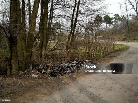 나무 근처 길가에 버려진 플라스틱 및 기타 쓰레기 더미의 모습 지구의 환경 문제 0명에 대한 스톡 사진 및 기타 이미지 0명 가방 개념 Istock