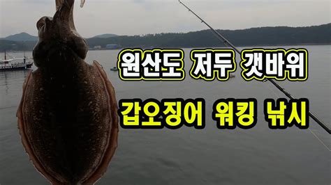 원산도 저두 갑오징어 워킹 낚시 Youtube