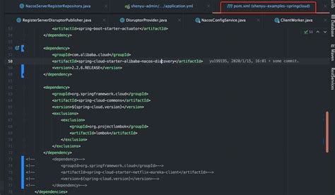 Bug · Issue 2710 · Apacheshenyu · Github