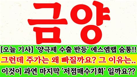 금양 오늘 기사 양극제 수출 반등 에스엠랩 숨통 그런데 주가는 왜 빠질까요 그 이유는 이것이 과연 마지막 저점매수기회 일까요 박부장 Youtube