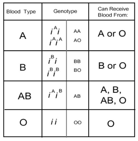 Bio 1113 Lab Quiz 4 Flashcards Quizlet