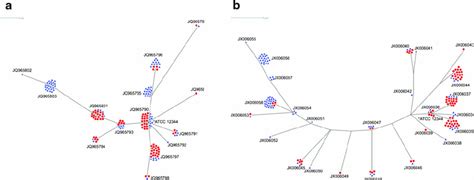 Phylogenetic Analysis Of Csrr And Csrs Unrooted Phylogenetic Trees Of Download Scientific