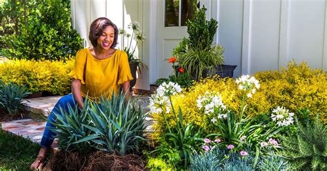 How To Use Color Echo In Planting Designs