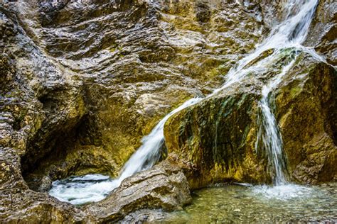 Gumpe Bilder Durchsuchen 303 Archivfotos Vektorgrafiken Und Videos