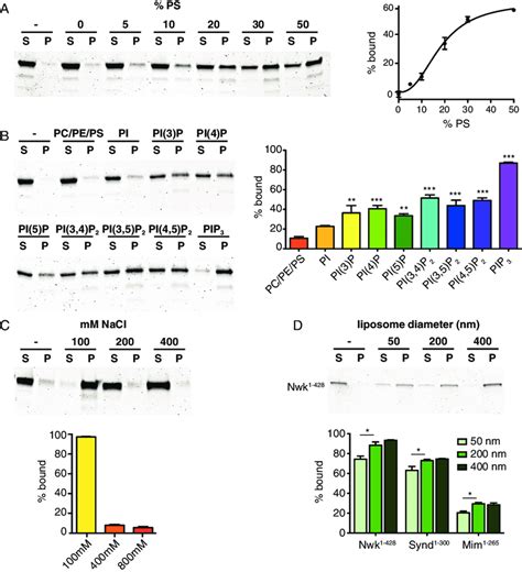 Lipid Binding Properties Of The Nwk F Bar Domain A D Liposome