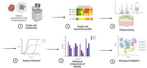 Cell Type Annotation Model Selection General Purpose Vs Pattern Aware Feature Gene Selection
