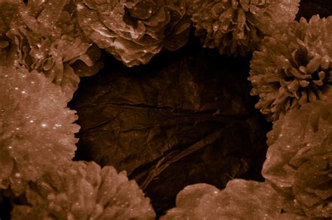 검은 배경과 밝은 노란색 꽃 프레임과 갈색 잎 질감 어두운 배경 빨간 배너 행복 발렌타인 데이에 아름다운 추상 적 색 빨간색 노란색과 갈색 꽃 그래픽 0명에 대한 스톡 사진