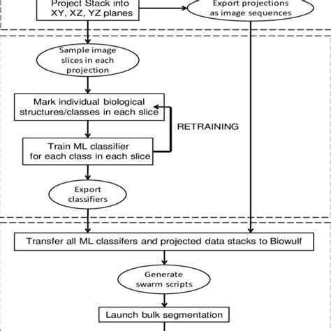 Segmentation Pipeline Download Scientific Diagram