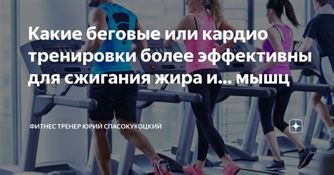 Какие беговые или кардио тренировки более эффективны для сжигания жира и мышц Фитнес тренер