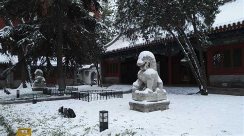 在北京十三中就读是一种怎样的体验？ 知乎