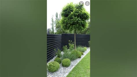 Прекрасные идеи оформления зоны вдоль забора😎 идеидлядачи дачасвоимируками ландшафтныйдизайн