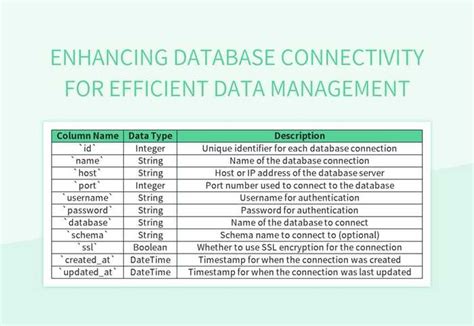 enhancing database connectivity for efficient data management excel