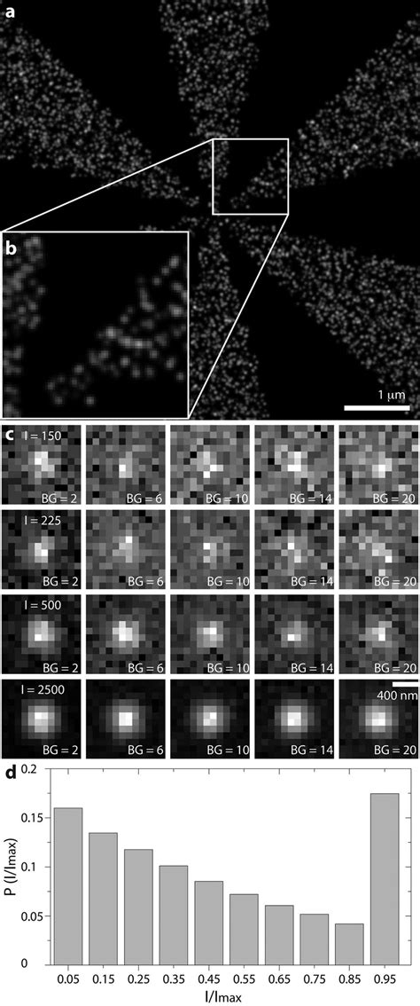 Simulation Object And Psf Examples A Superresolution Reconstruction Download Scientific