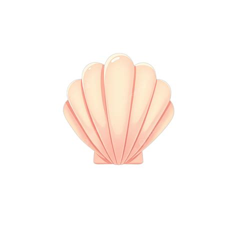 Pink And Tender Shells Simple Cartoon Pink Shells Simple Style Cartoon Pictures Png