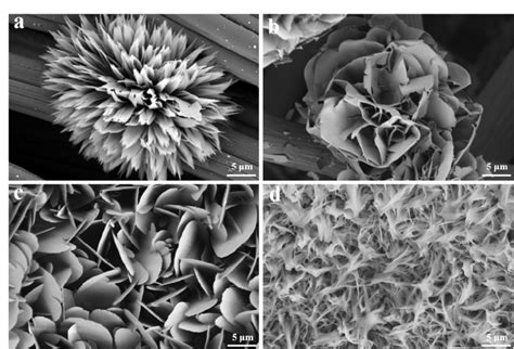 Fig S1 Sem Image Of Ni Tdc A Ni Tdc Ac B Nife Tdc C And