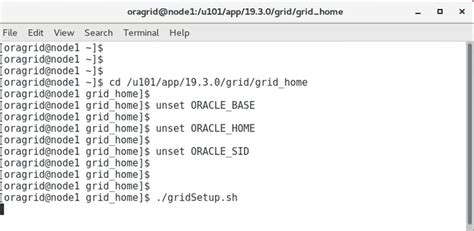 Upgrade To Oracle 19c Grid Infrastructure From 12c Grid Bingo