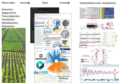 Expertise Igz Leibniz Institute For Vegetable And Ornamental Crops