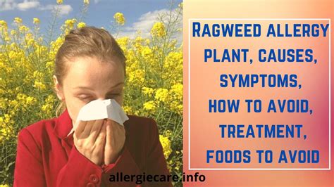 Codeine Allergy Everything You Must Know Allergie Care