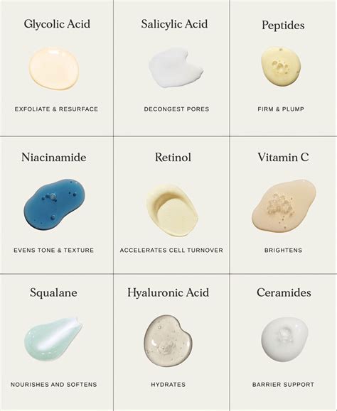 Your Ingredient Glossary Sorted Basic Skincare Ingredients
