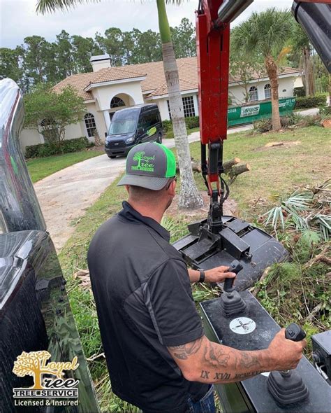 Tree Removal Service Near Me Loyal Tree Tree Service
