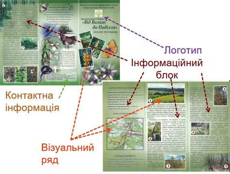 9 клас Практична робота Pvv