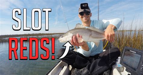 How To Sight Fish Redfish Find Stalk And Sight Fish A School