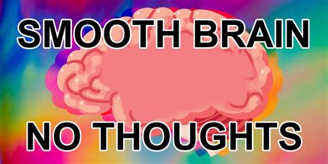 Smooth Brain Meme The Origins And Usage Online