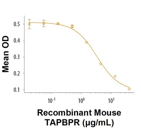 Recombinant Mouse Tapbpr Fc Chimera Protein Cf 11254 Tp Bio Techne