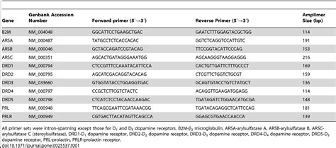 Dopamine Receptors