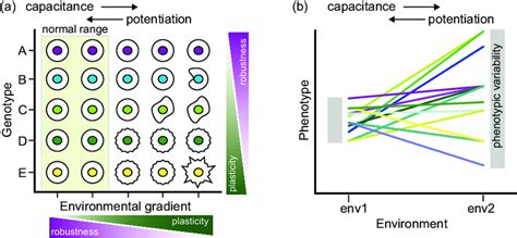2 Robustness And Plasticity In Qualitative And Quantitative Traits A Download Scientific